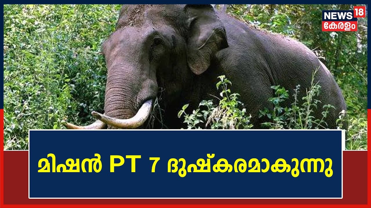 Palakkad Elephant Attack | ദൗത്യം ദുഷ്കരമാകുന്നു; PT 7 ഉൾവനത്തിലേക്ക് ...