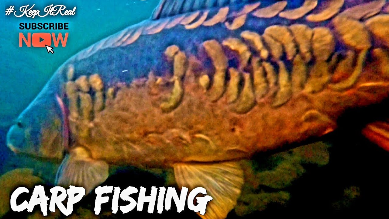 Carp Fishing Compilation West Virginia & North Carolina - YouTube