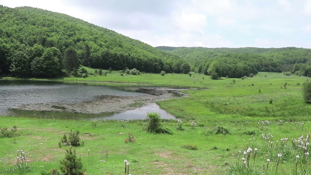 Valle del Tacina - YouTube