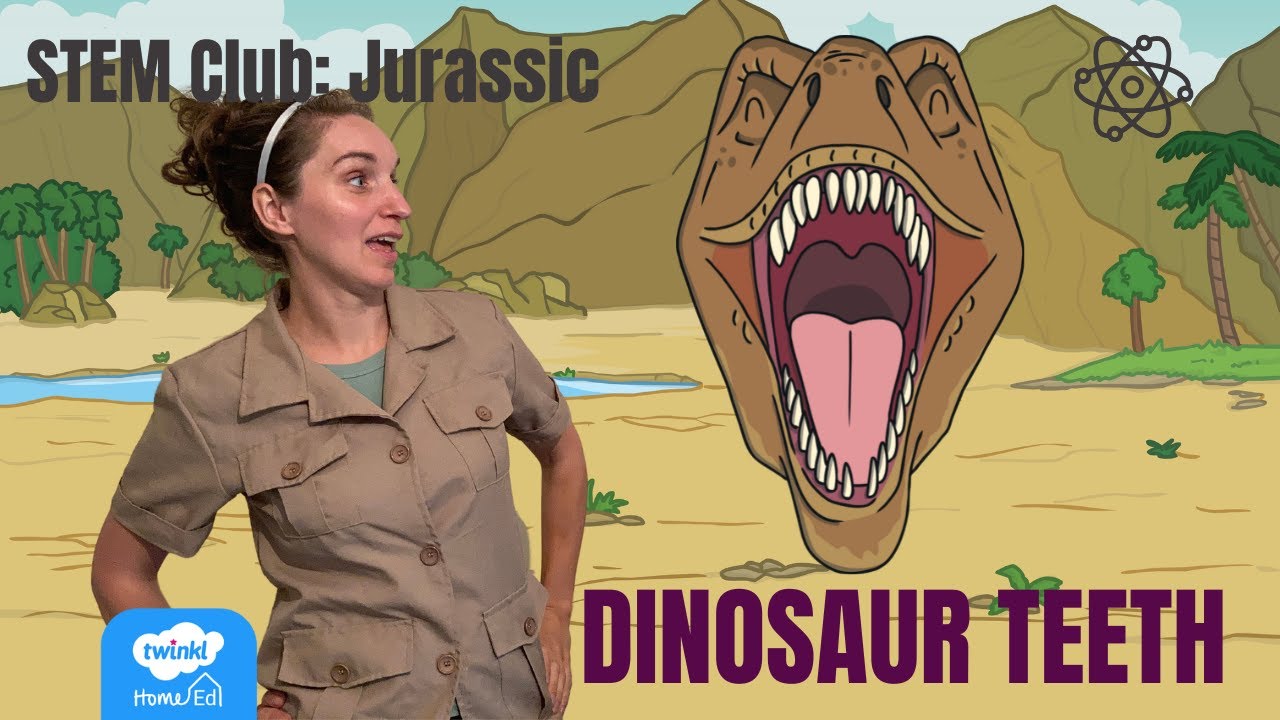 Dinosaur Teeth Jurassic Stem Club For Home Educators Youtube