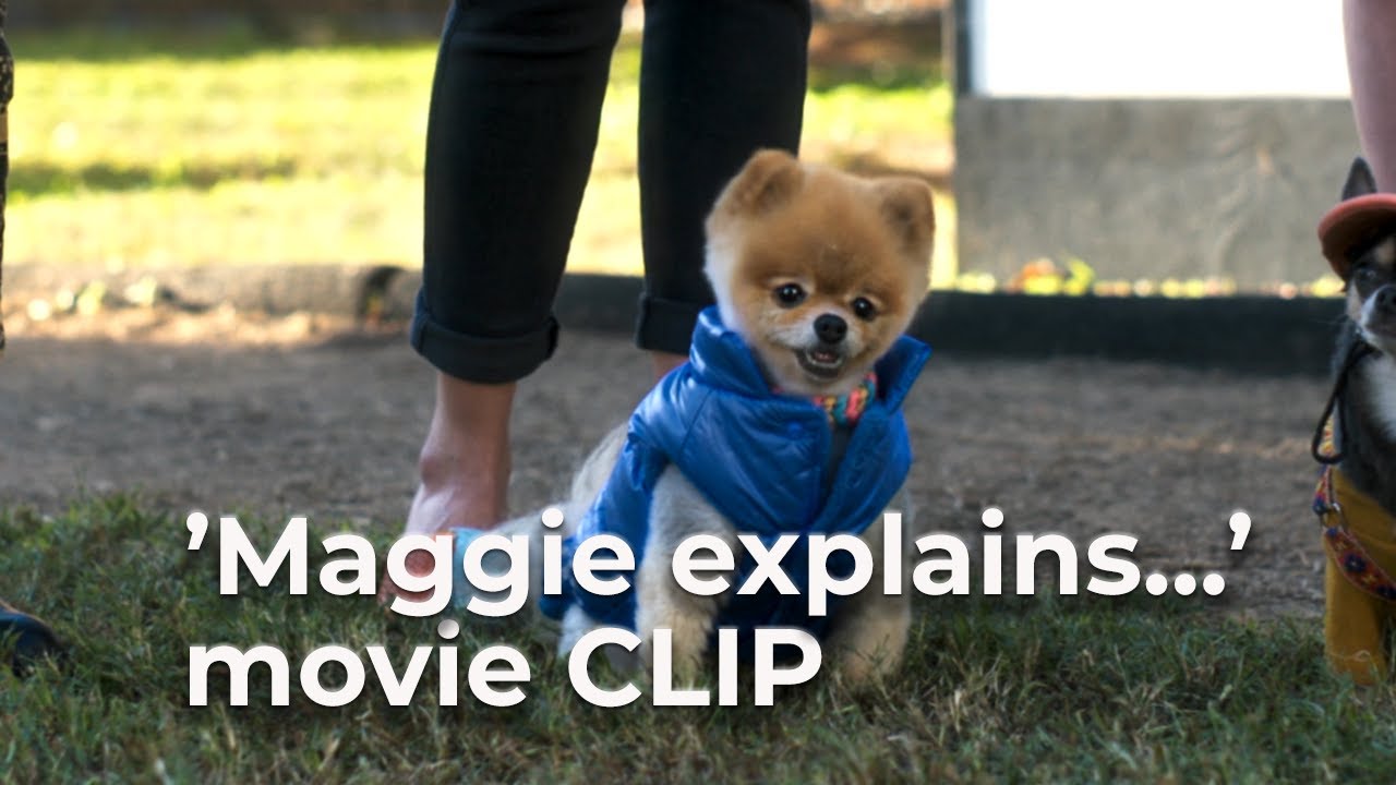 Strays (2023) Movie Clip 'Maggie explains why she’s not angry at all ...