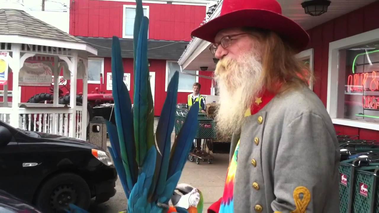 BeBe the Harlequin MacCaw - YouTube