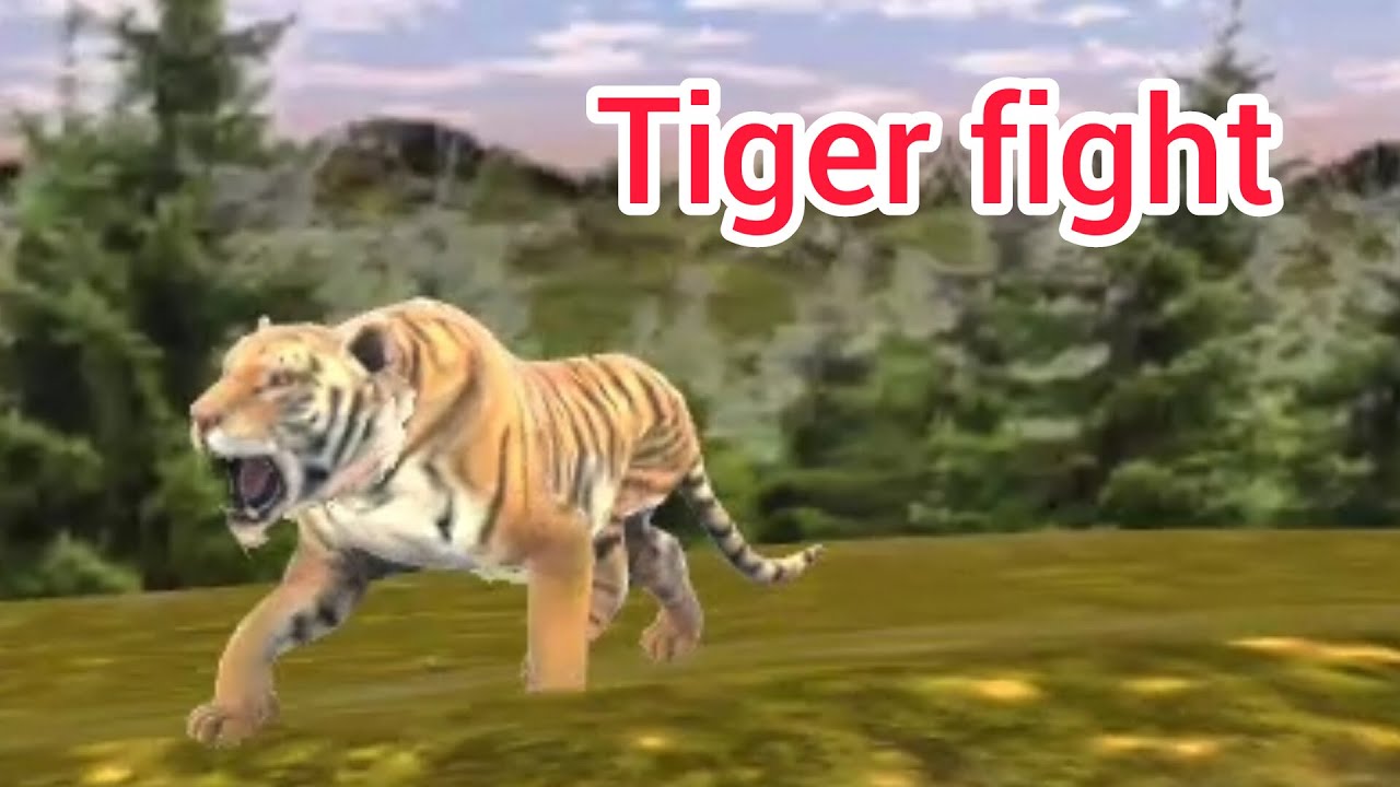 Tiger fight || kids cartoon || Cartoon video || animal video - YouTube