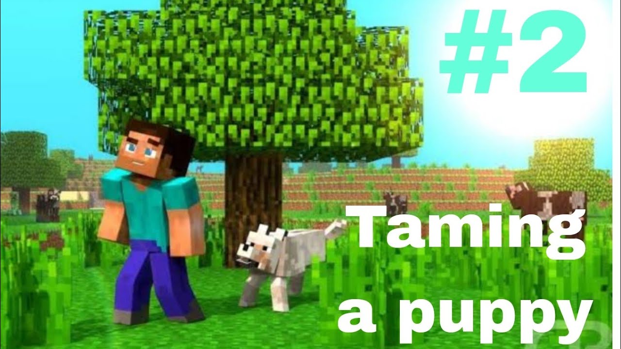 I have tamed a puppy in Minecraft | MINECRAFT GAMEPLAY #2 - YouTube