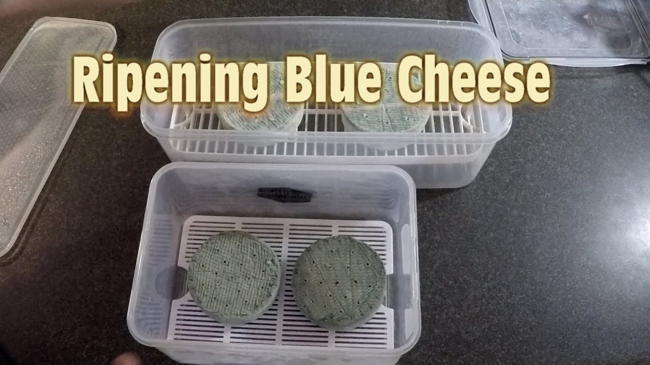 How to Ripen Blue Cheese - YouTube