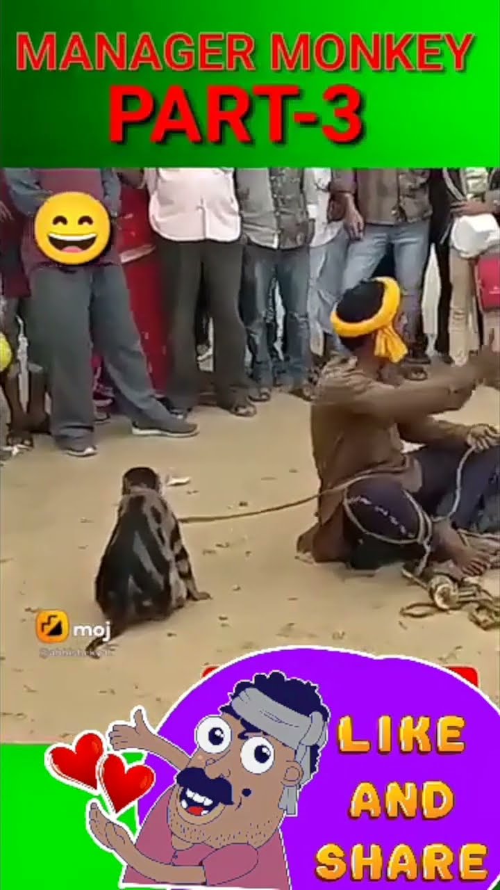 𝙱𝚊𝚗𝚍𝚊𝚛 𝚋𝚊𝚗𝚍𝚊𝚛𝚒𝚢𝚊 𝚔𝚊 𝚔𝚑𝚎𝚕 #answer - YouTube