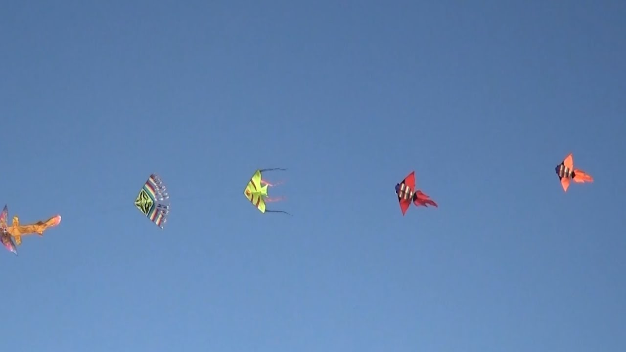 Five Kites on one string - YouTube