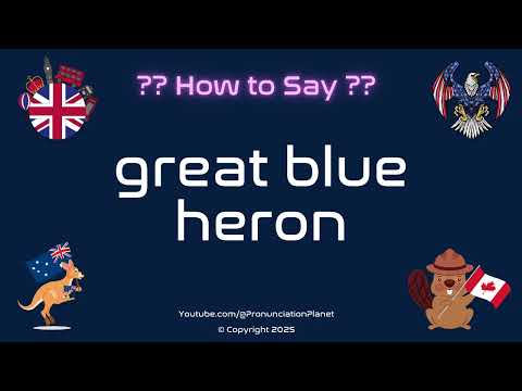 🦩🌊 How to Pronounce great blue heron? (CORRECTLY) | Pronunciation Planet