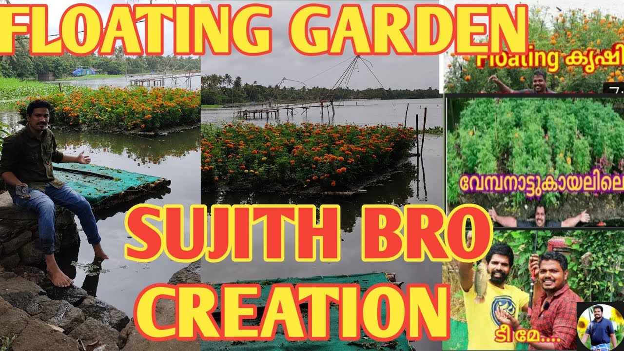 Floating Garden || Variety farmer sujith bro Creation || Floating ...