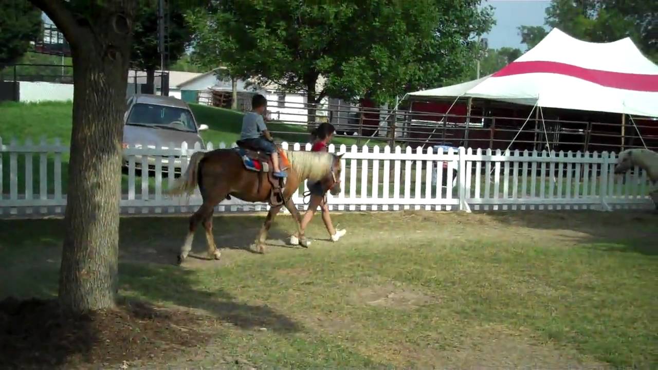 fair pony ride yoel 2010 - YouTube