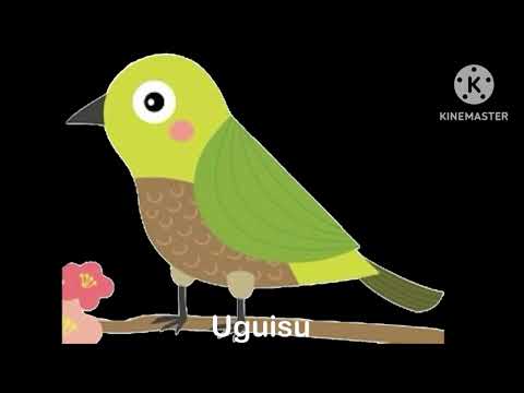Day 21: Bird World and Friends That Starts With The Letter U