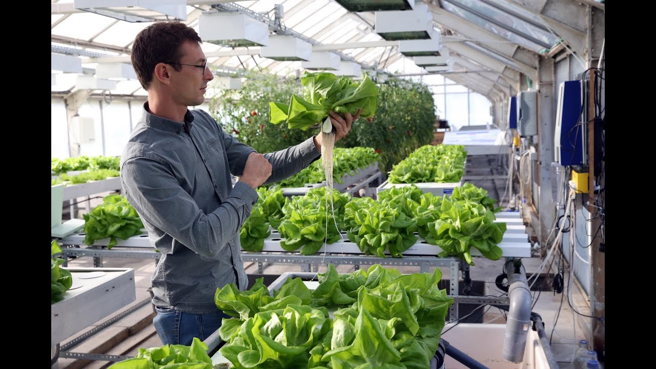 Agriculture urbaine à Gembloux Agro-Bio Tech : visite de la plateforme ...