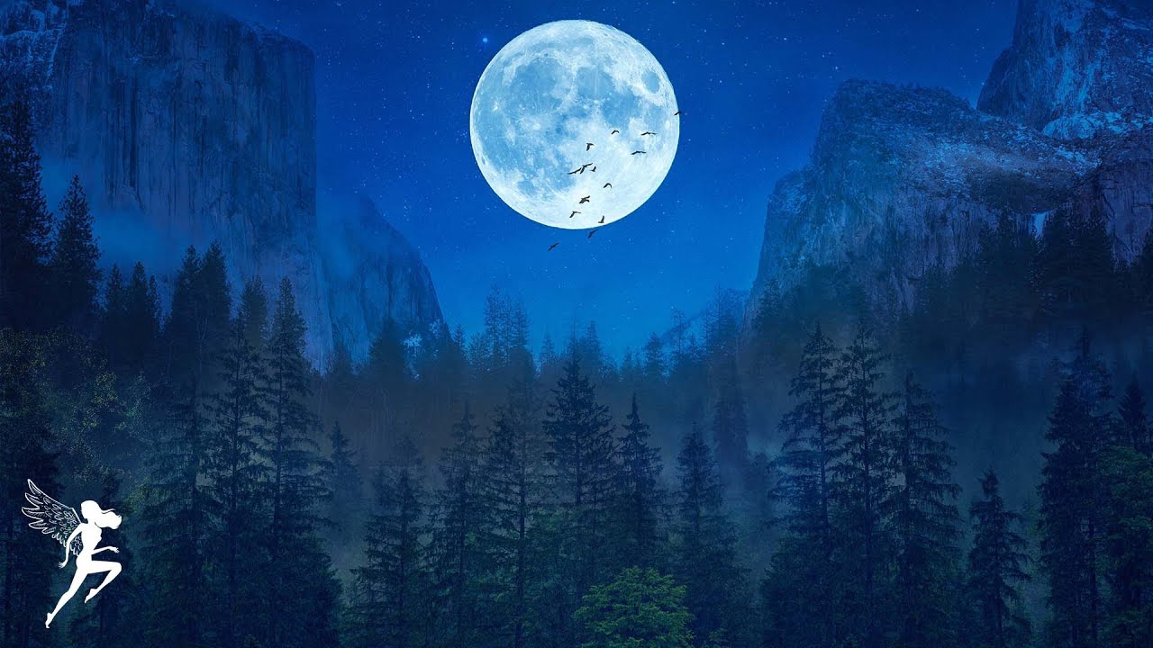 Fall Asleep Fast in a Magical Forest | Instant Relief from Insomnia ...