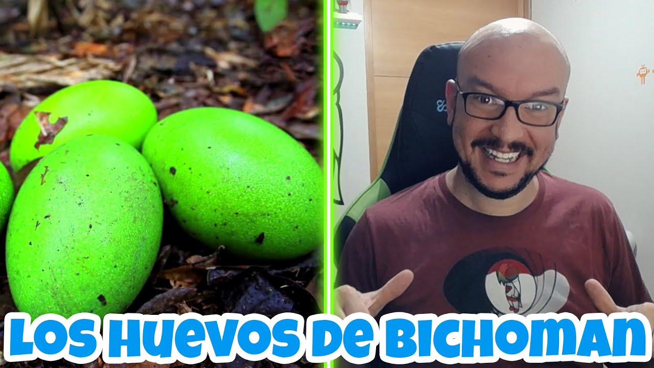 LOS HUEVOS DE BICHOMAN!! | Bichoman reaccionando 30 cosas que no sabías ...