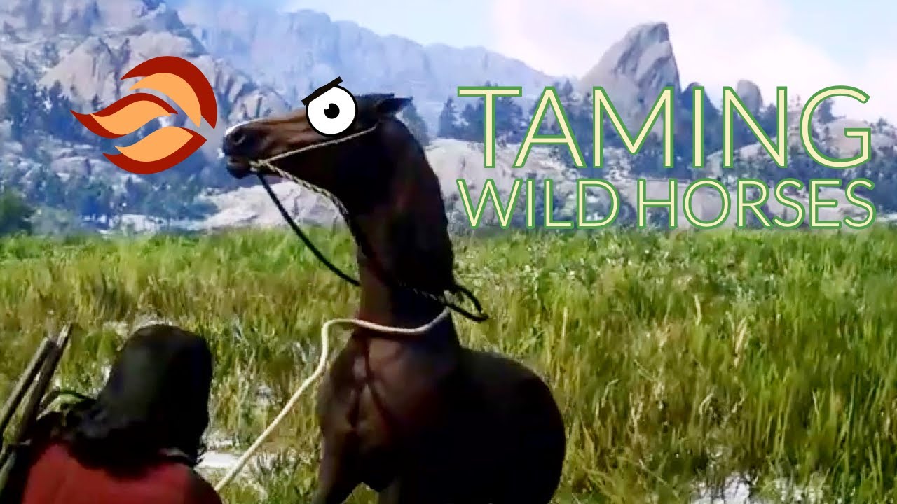 Red Dead Redemption 2 | RDR2 Taming Wild Horses - YouTube