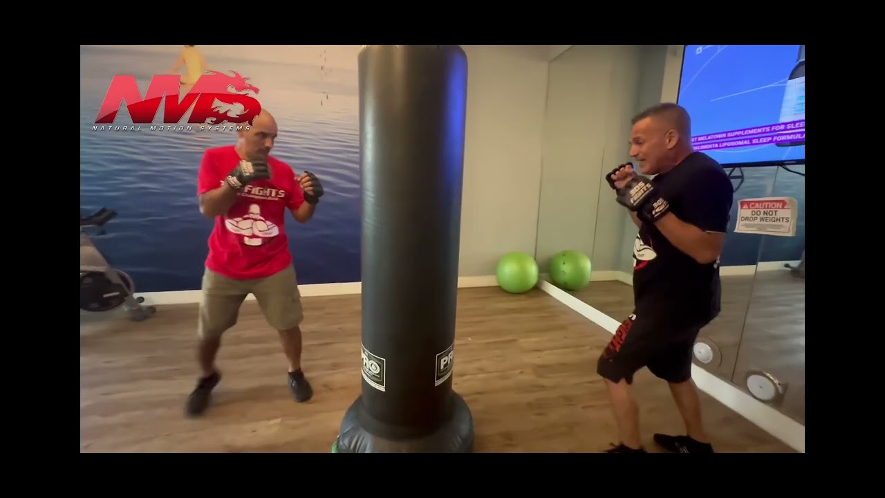 NMS Tutorial #5 methodology of training - YouTube