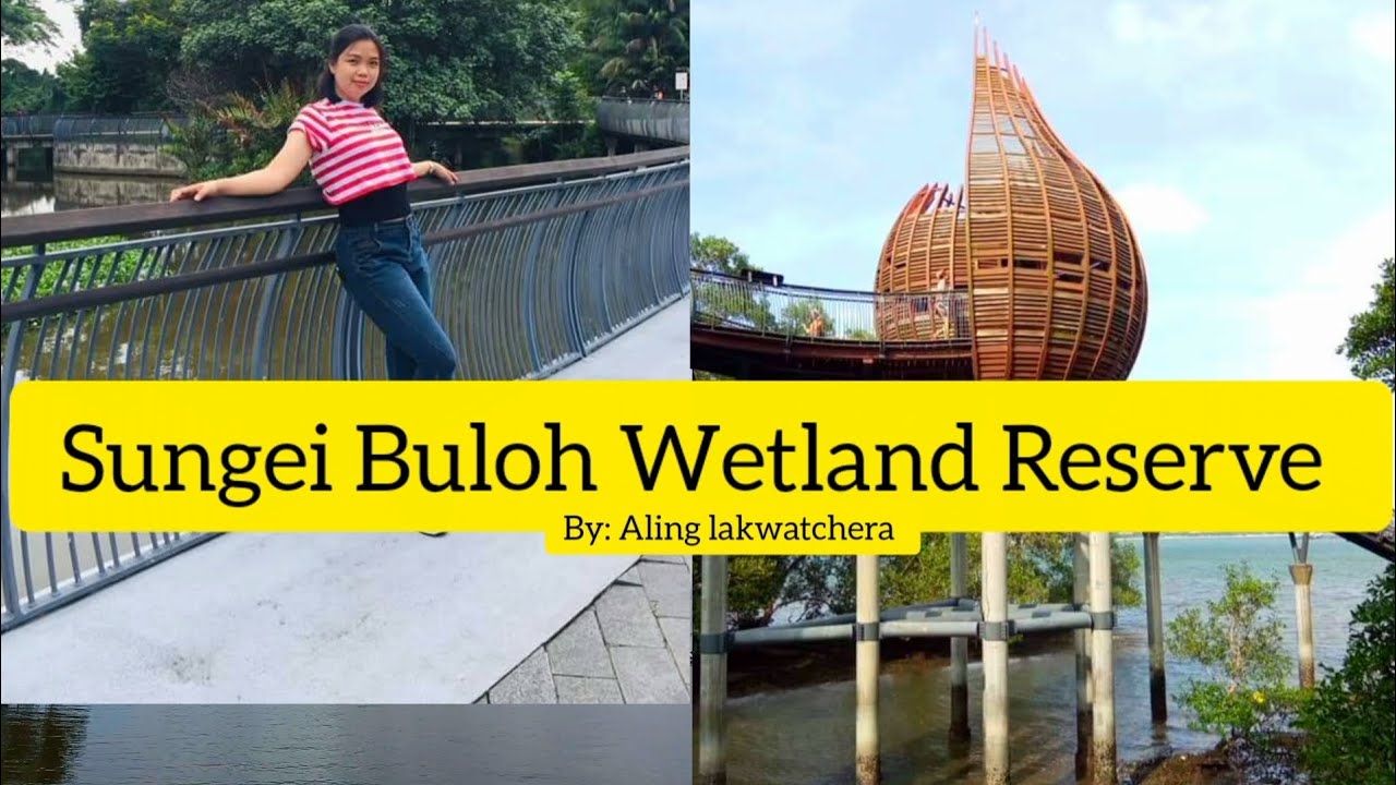 Part:3 Sungei buloh wetland reserve, Singapore. / @Alinglakwatchera ...