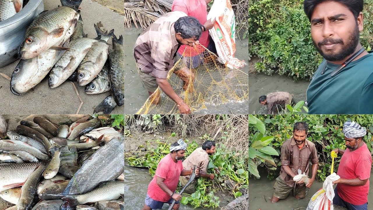 FISHING | FISH CATCHING | AMAZING FISHING TECHNIQUES | CATCHING FISHES ...