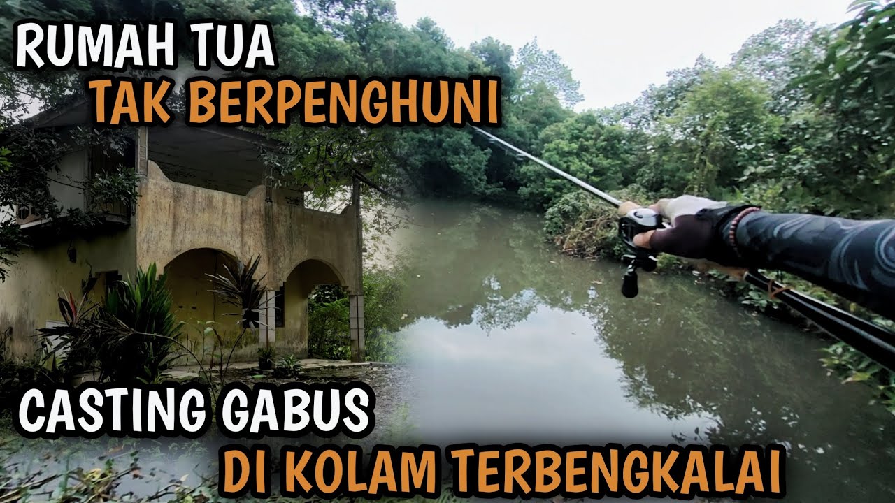 CASTING GABUS DI SPOT RUMAH TUA || Bekas kolam pribadi yang terbengkalai || IPENK REAL LIFE ...