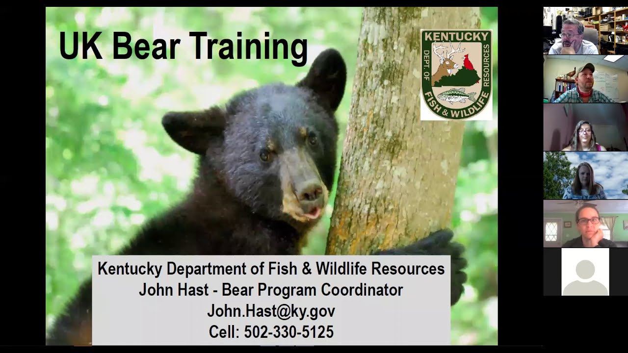 Bear Training - YouTube