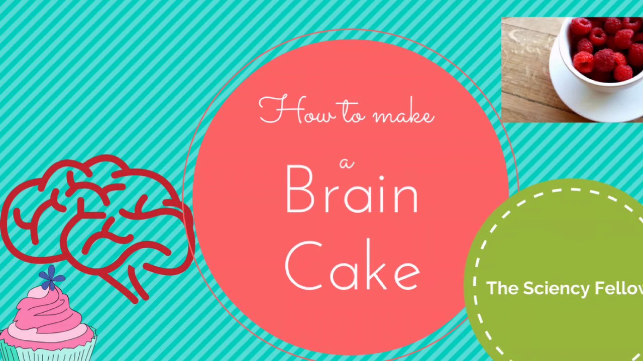 How To Make A Brain Cake YouTube how-to-make-a-brain-cake-youtube