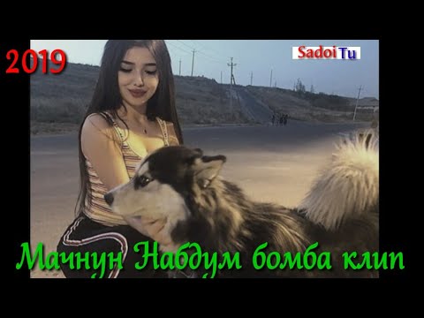 Мачнун набудум мачнунум карди Бомба💣💣💣 клип 2019