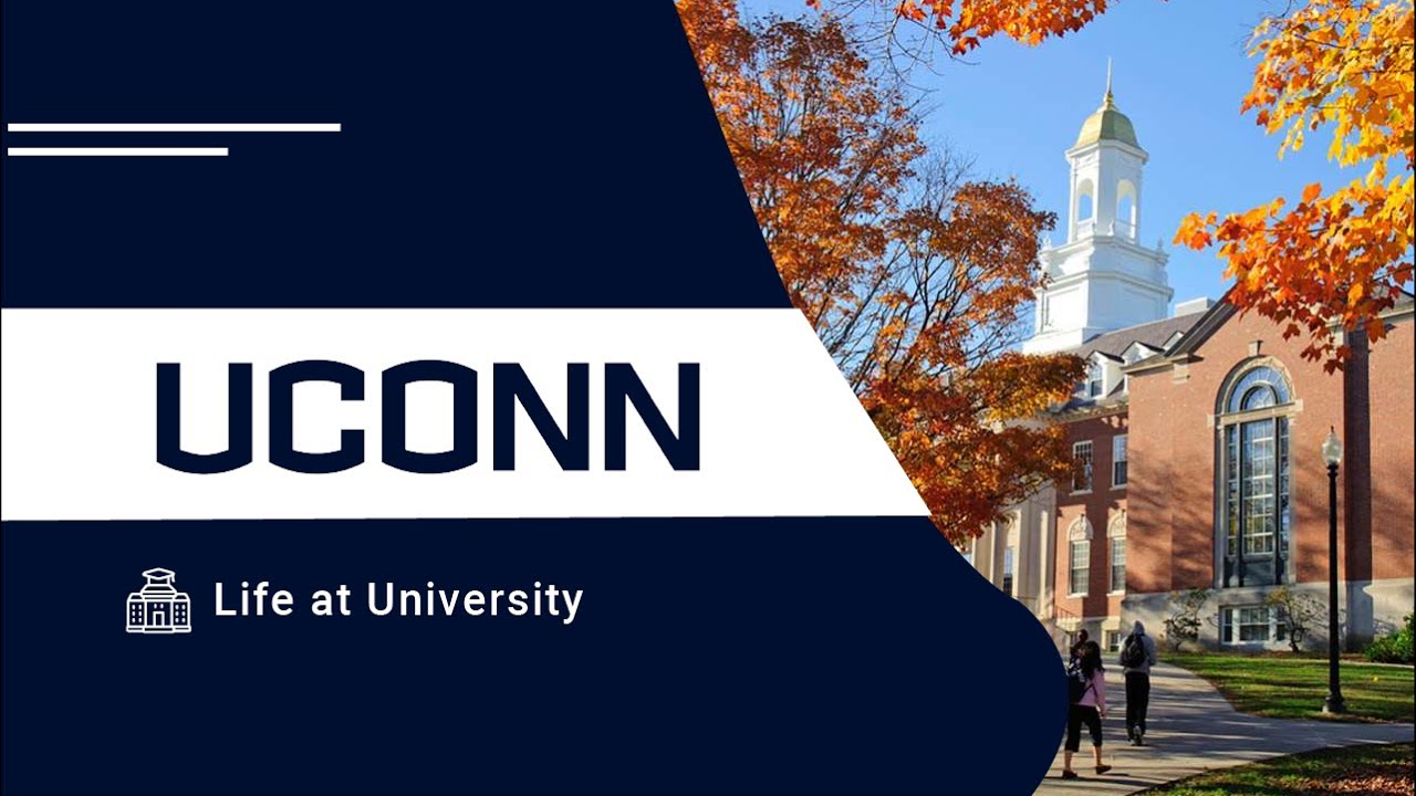 Living and Studying at the University of Connecticut | Life at UCONN ...