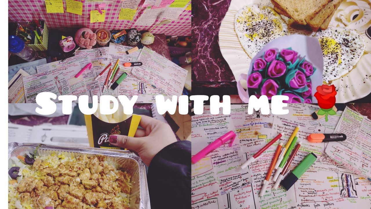 Study vlog. productive day vlog.studing for 5 hours.A day in my life 🌺 ...