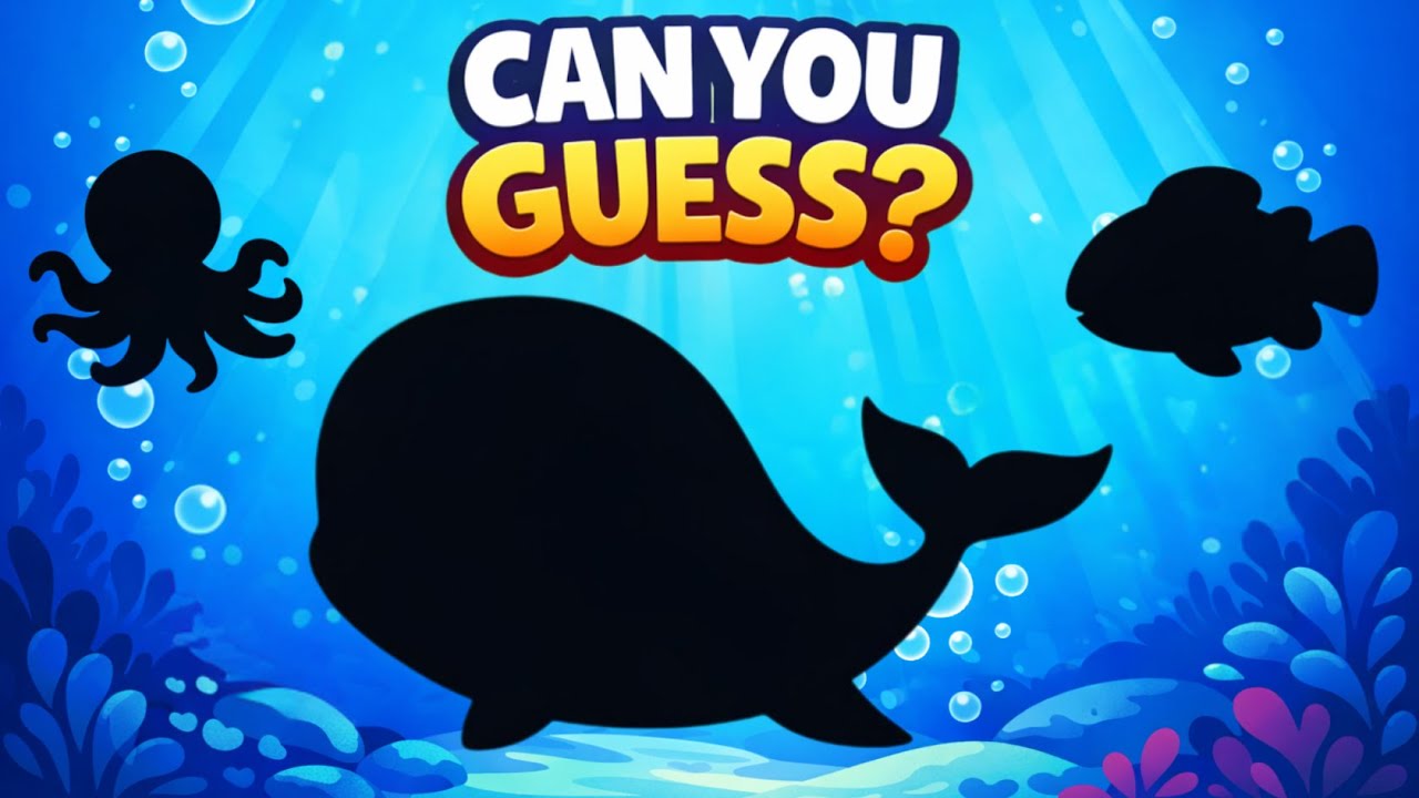 Guess the Sea Animal Shadow! 🖤🌊 30 Ocean Animals for Kids | Kids ...