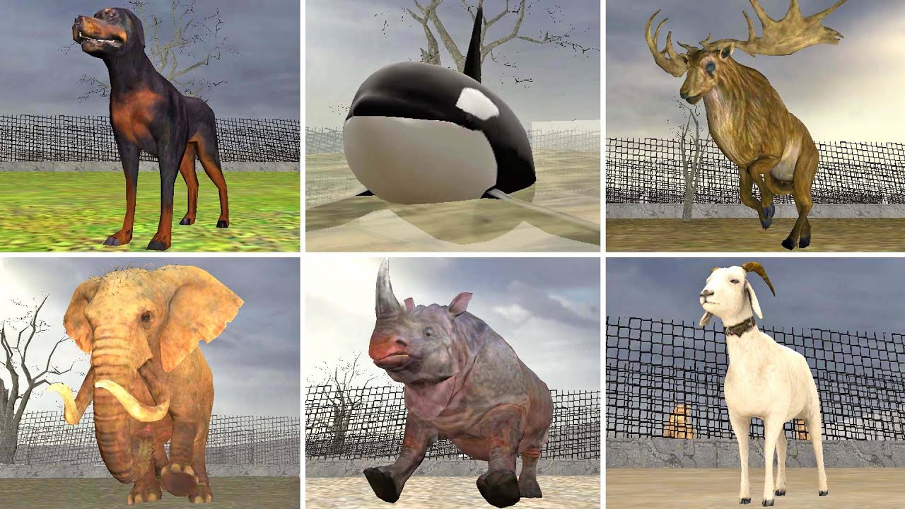 ZOOCHOSIS ALL NEW RELEASE CANDIDATTE ANIMALS MONSTERS ANIMALS & BLUE ...