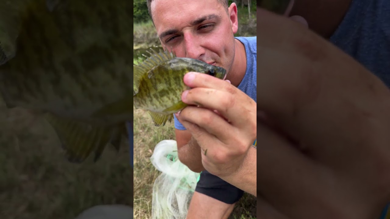 Video – RawwFishing