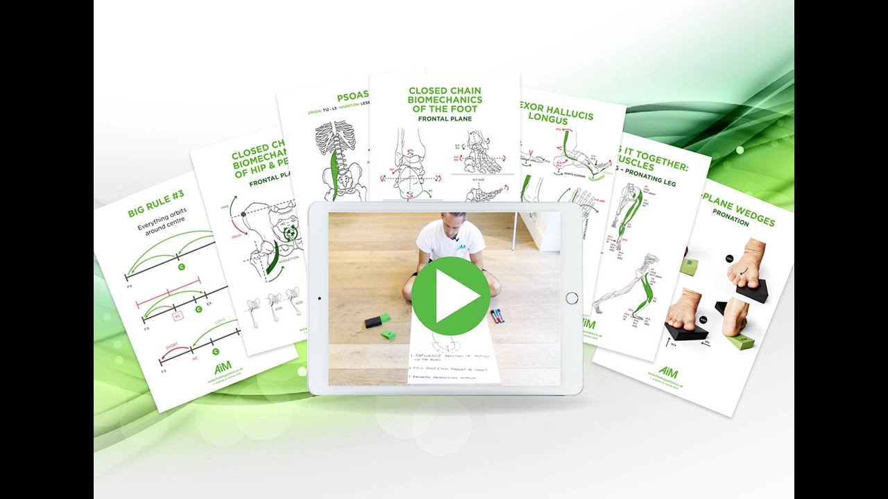 Lower Body Closed Chain Biomechanics Trailer - YouTube