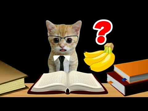 HAPPY CAT LEARNING FRUIT | FUNNY CAT - YouTube