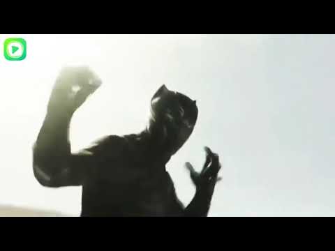 Black panter fans status
