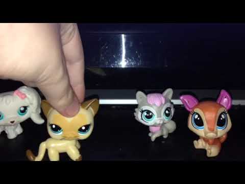 LPS friends want to watch the wiggles - YouTube