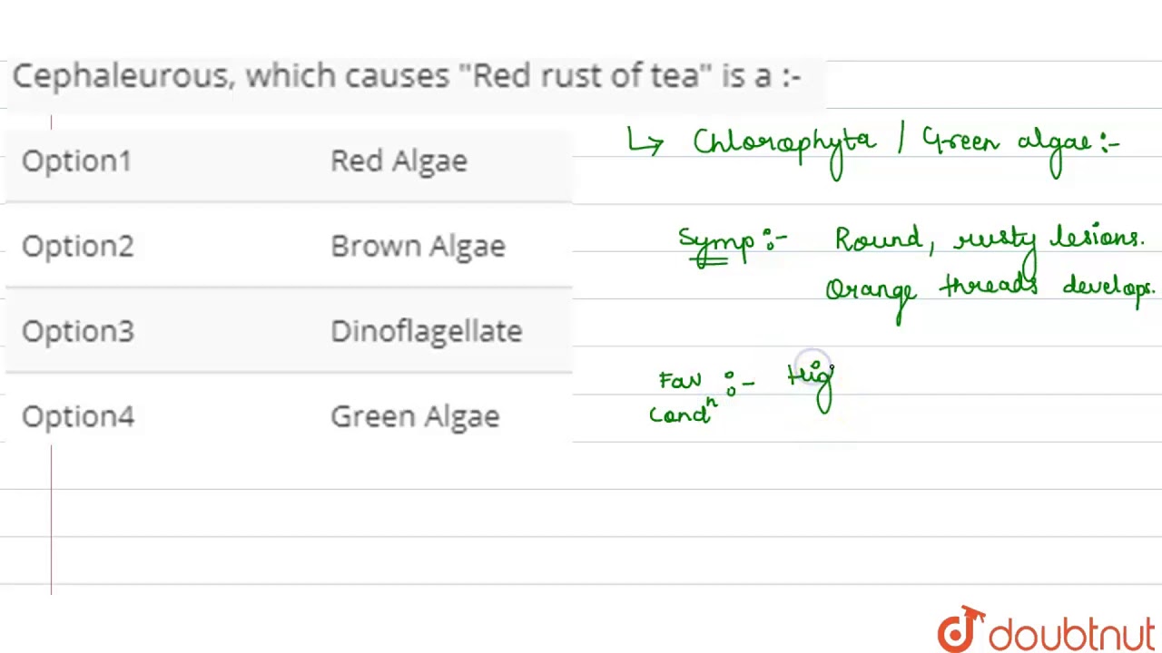 Cephaleuros, which causes \"Red rust of tea\" is a :- - YouTube