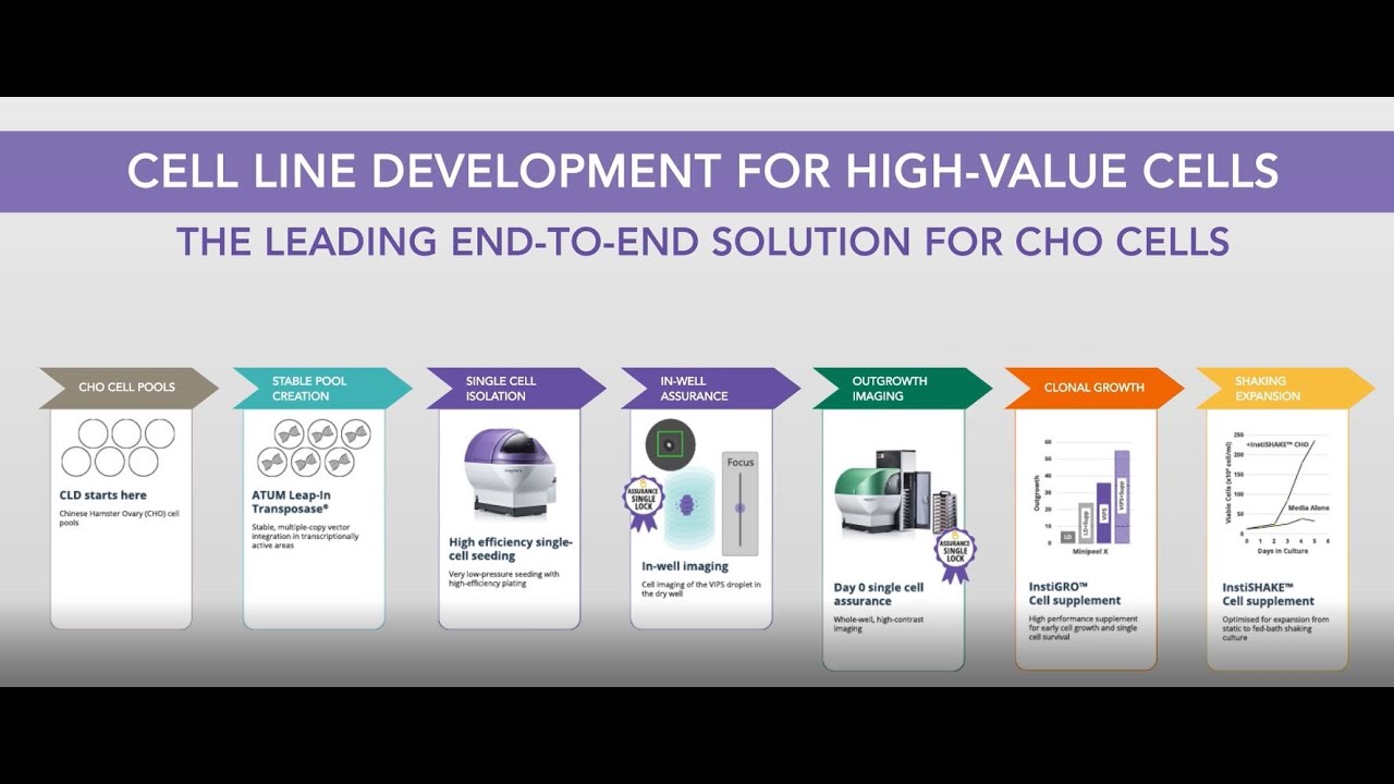 Solentim CLD workflow animation - YouTube