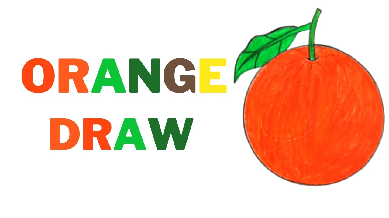 How to draw a beautiful orange step by step easy drawing🍊🍊 #drawing ...