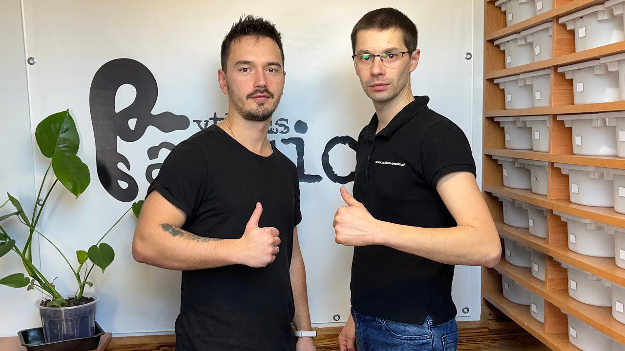 Sobotnia wizyta w hodowli regiusów, czyli pytony królewskie z Pythons ...