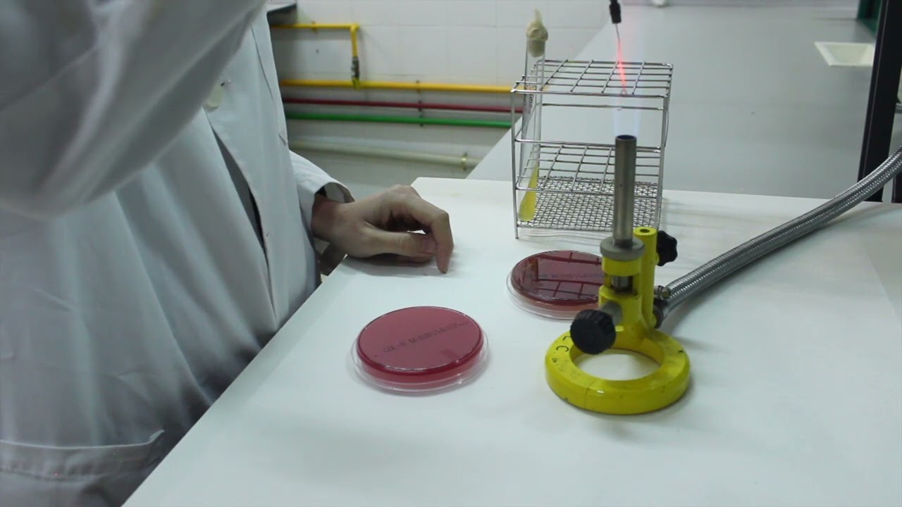 Prueba CAMP - YouTube