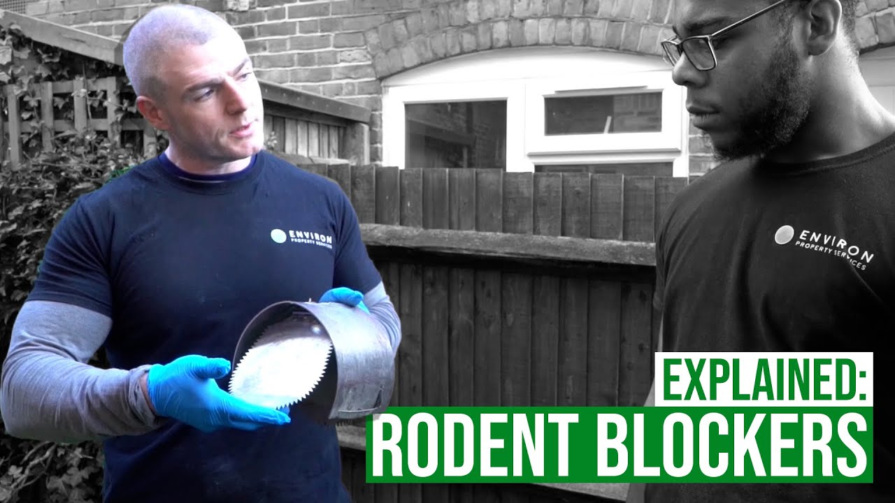 How does a Rat/Rodent Blocker Work? Rat and Rodent Blockers EXPLAINED ...