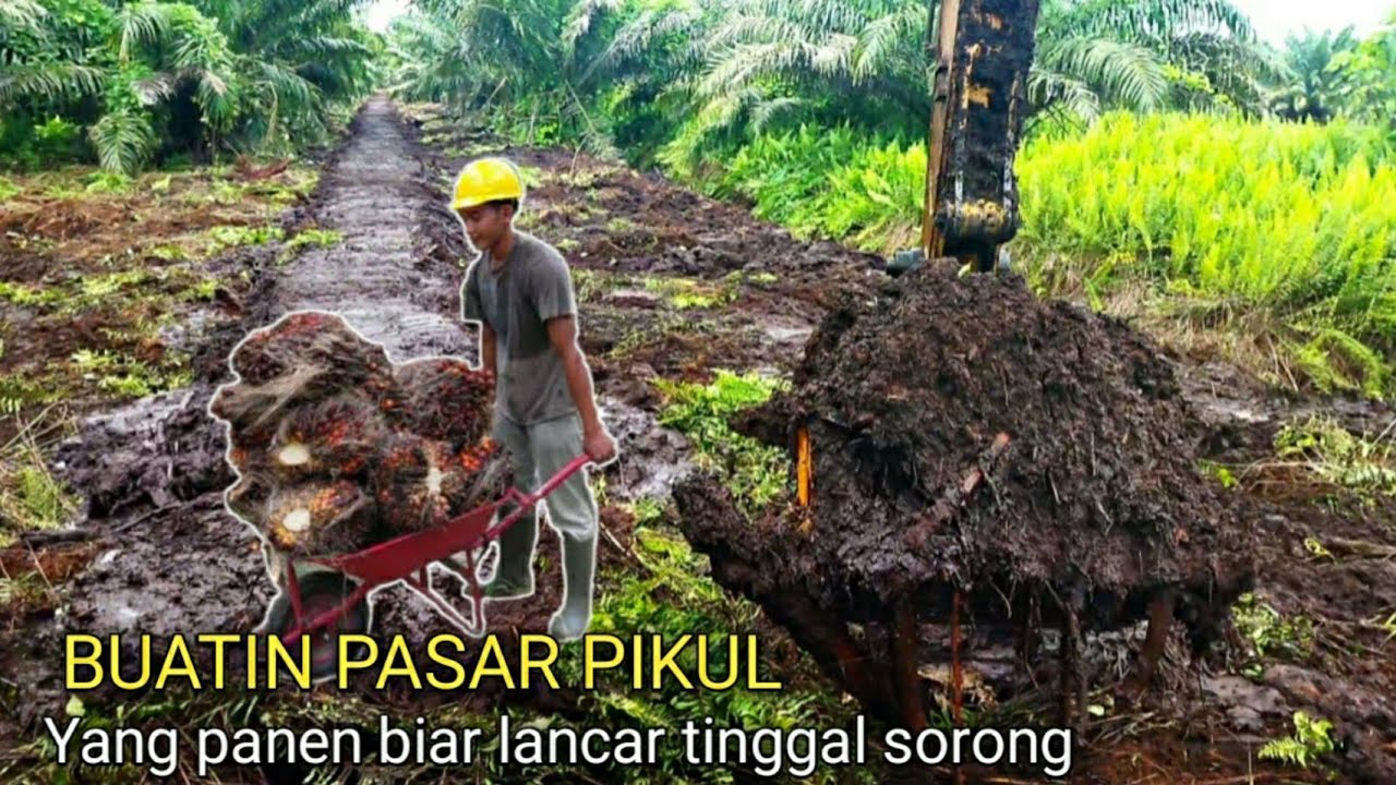 AMAZING BAKET SANY SY135F_BIKIN PASAR PIKUL - YouTube