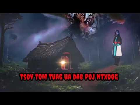 Tsov Tom Tuag Ua Dab Poj Ntxoog 26/05/2024 - YouTube