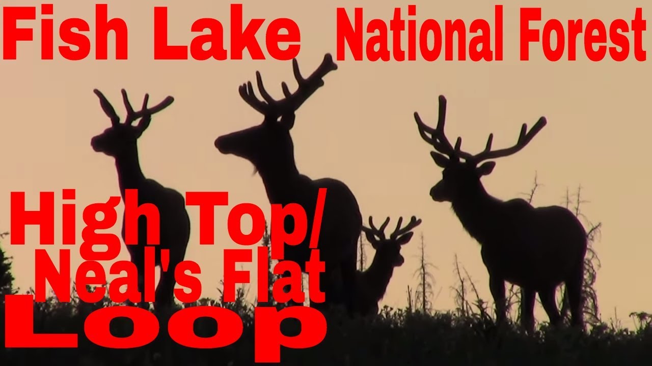 S6 E13 Fish Lake National Forest; High Top/Neal's Flat Loop, Utah June ...