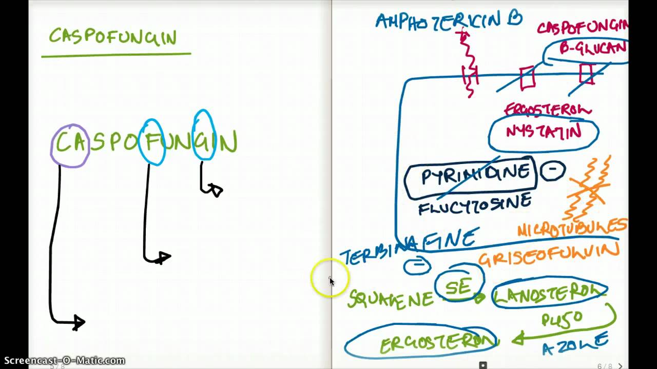 Easy Ways to Remember Caspofungin - YouTube