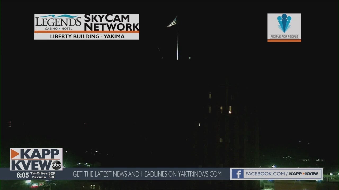 Falling frozen lizards in Florida - YouTube