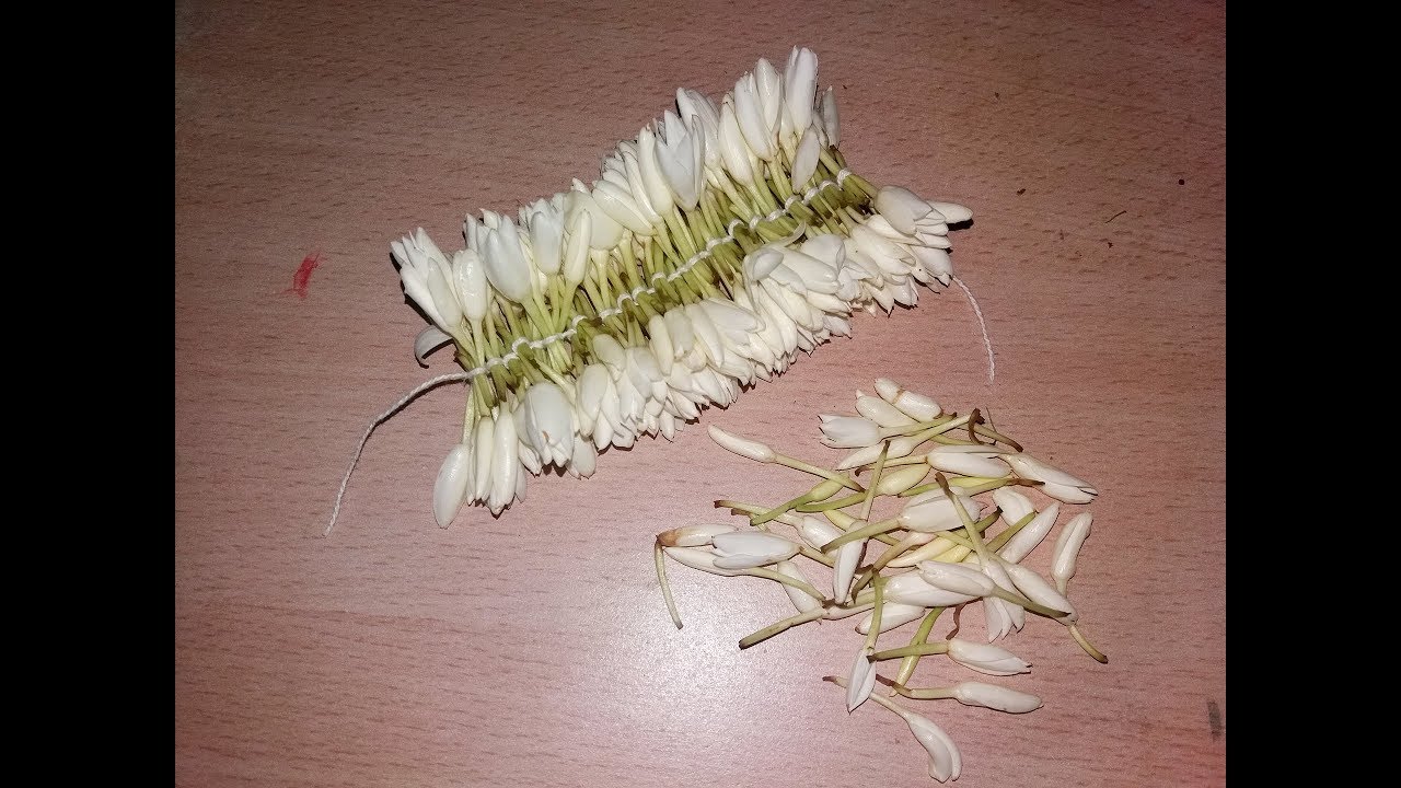 very closely to string pichi flower garland | how to tie pichi flowers ...
