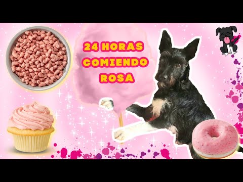 24 HORAS COMIENDO ROSA / Un Día ENTERO comiendo comida ROSA / Lana
