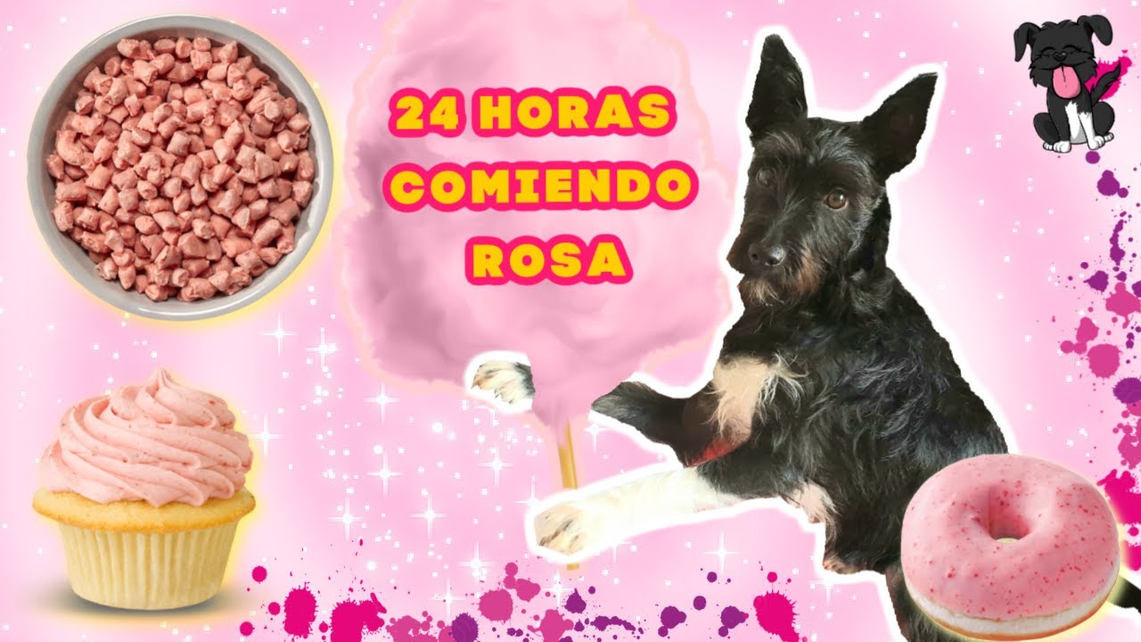 24 HORAS COMIENDO ROSA / Un Día ENTERO comiendo comida ROSA / Lana ...
