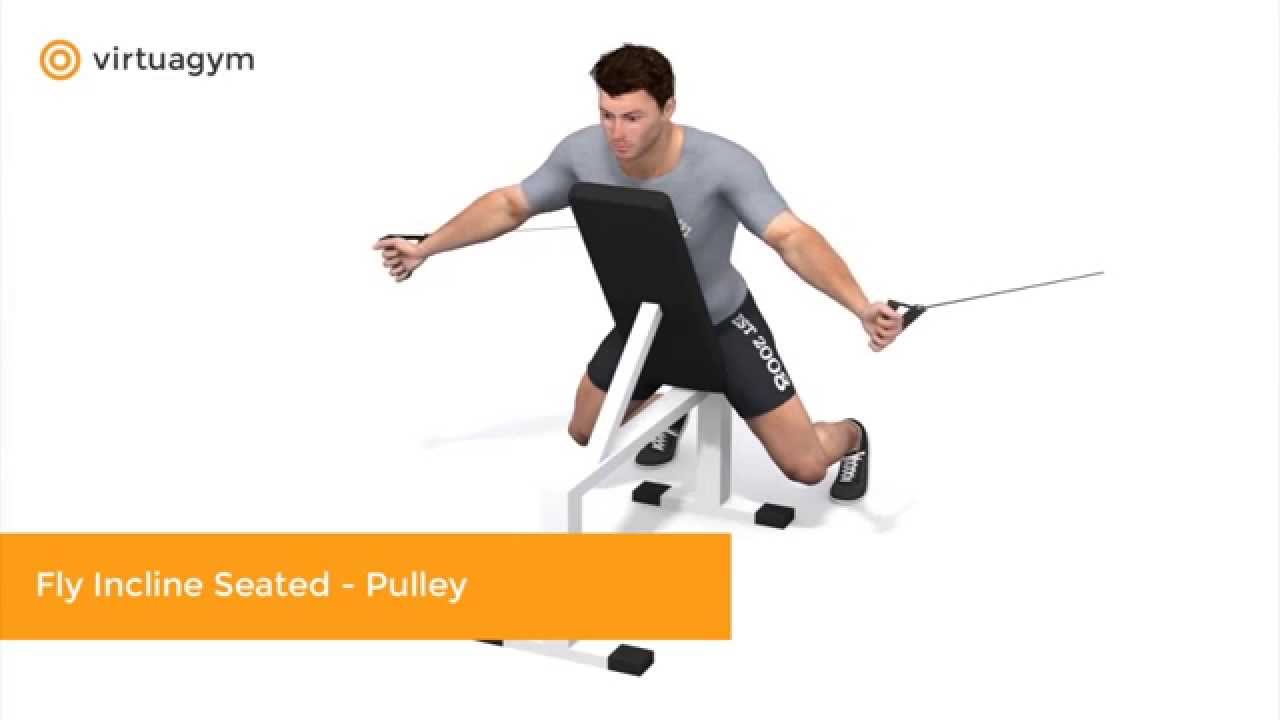 Fly Incline Seated - Pulley - YouTube
